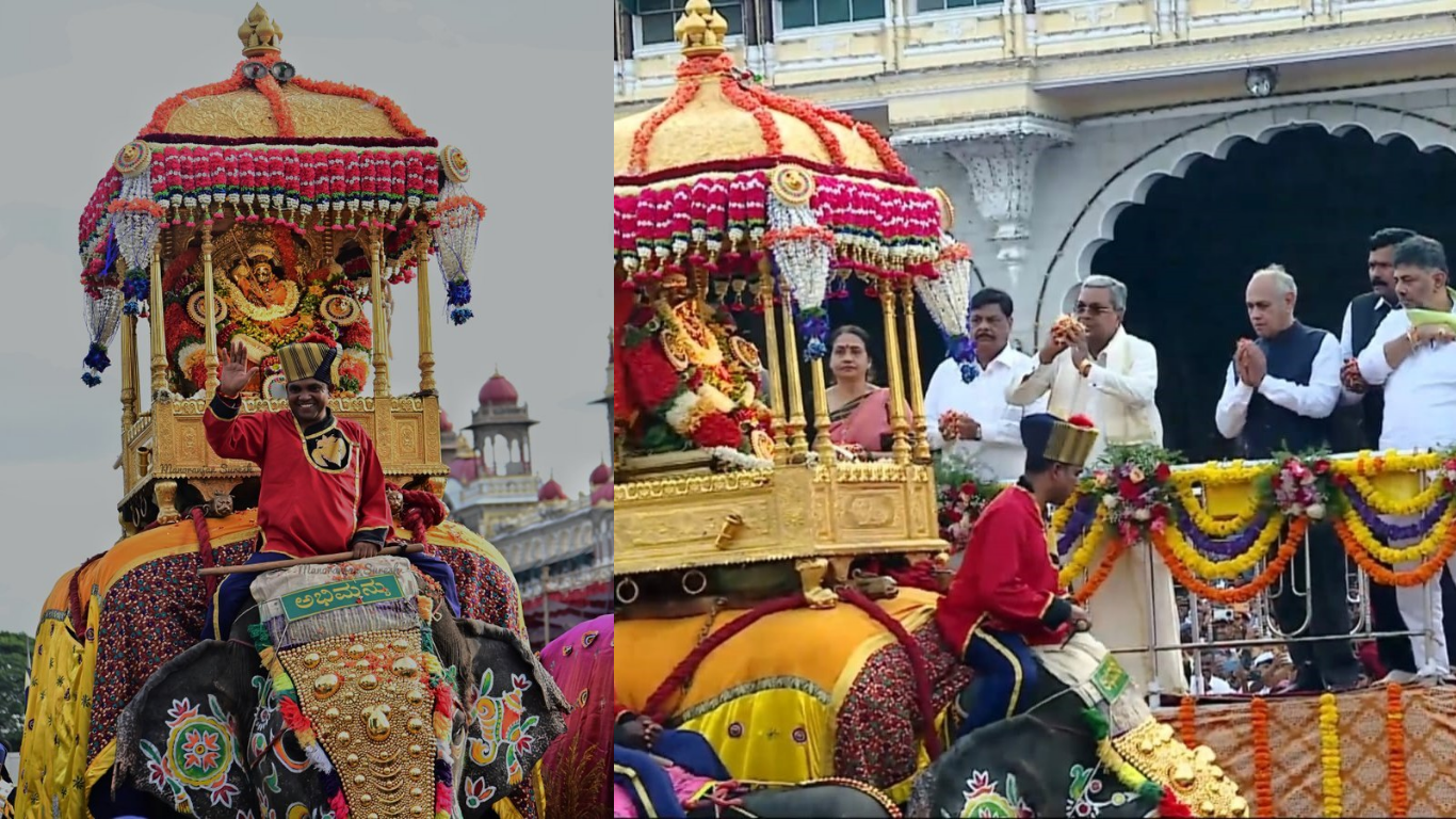 "Abhimanyu Leads the Way: Golden Ambari Graces Mysuru Dasara Amid Rain ...